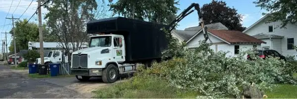 Residential Tree Removal in Monroe County, WI